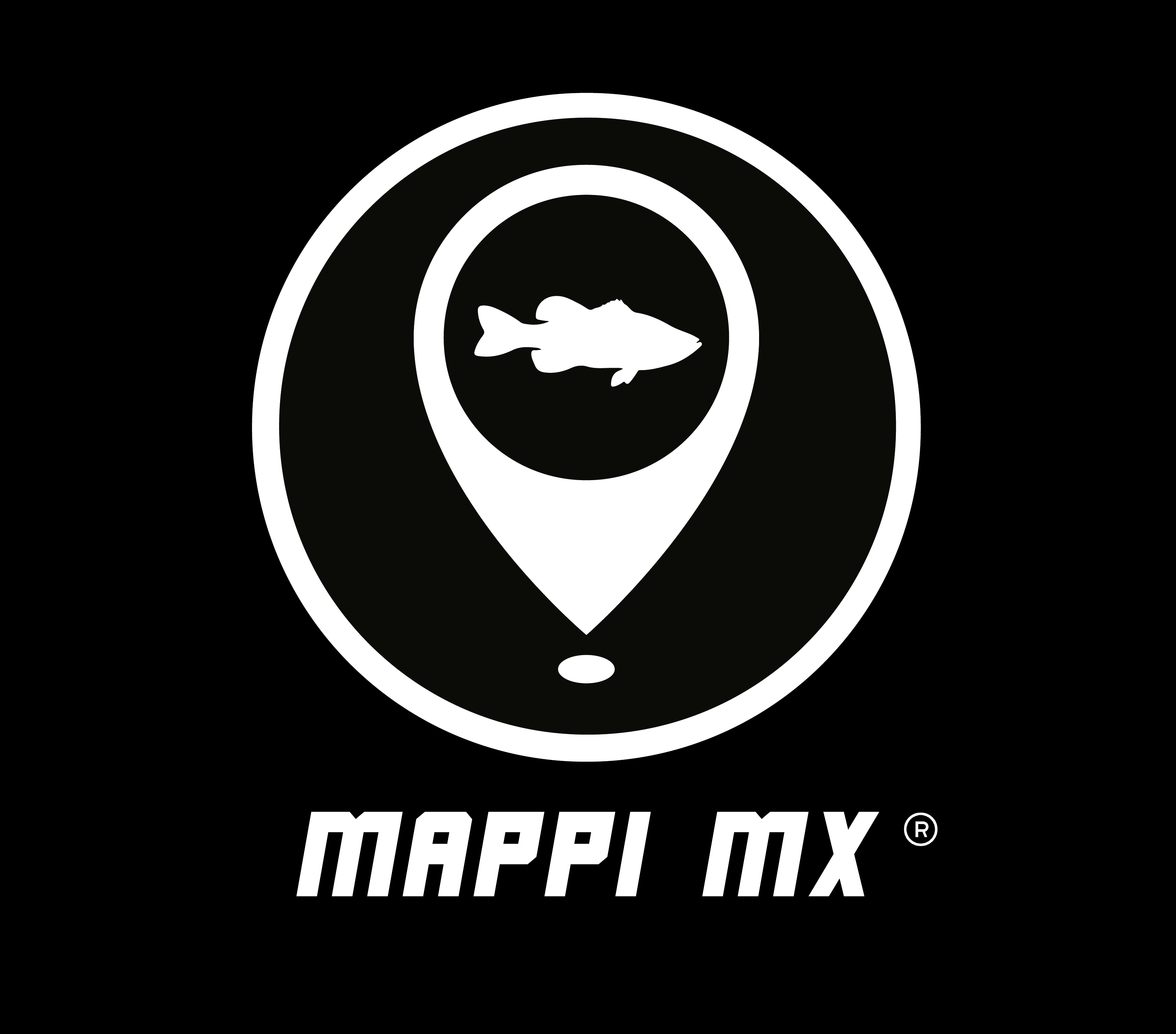 Mappi Mounts – Dr. Boats MX